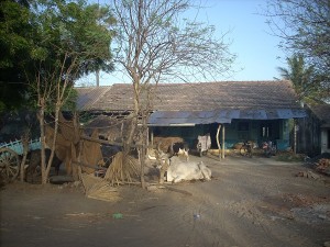 Rural India Revisited [PHOTOS] | Youth Ki Awaaz