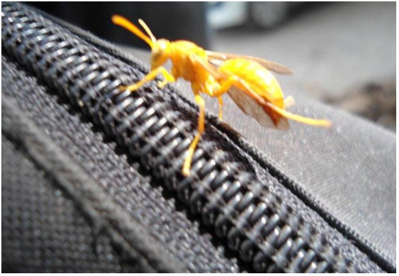 Those Small Living Creatures: How Long Do They Last? | Youth Ki Awaaz