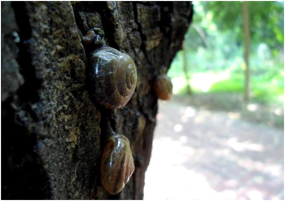 Those Small Living Creatures: How Long Do They Last? | Youth Ki Awaaz