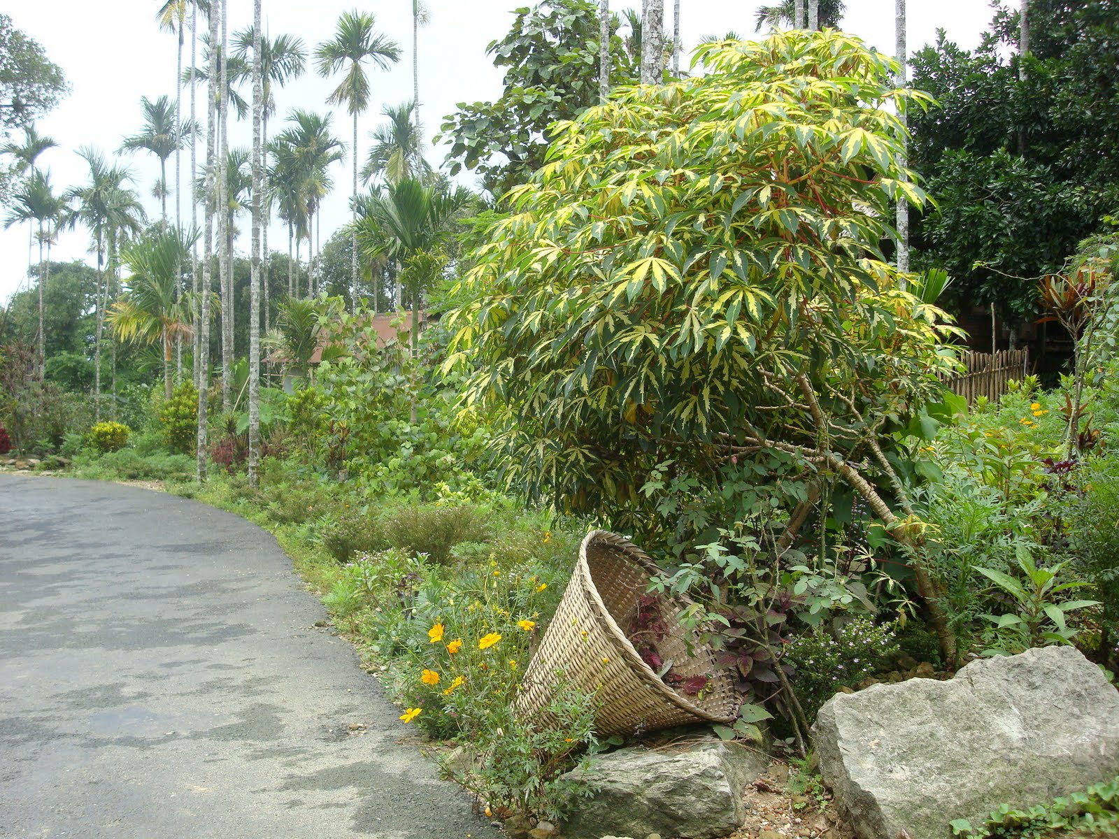Can You Guess Which Is the Cleanest Village In Asia [Hint: Somewhere In ...