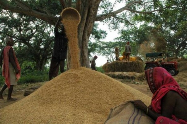 India’s Food Security Policies Need To Be Revamped. Here’s Why