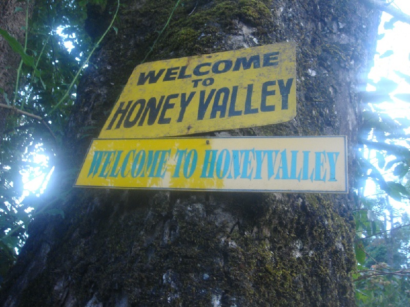 Take A Break. Relax. Read. Go To Find Yourself At Honey Valley | Youth ...