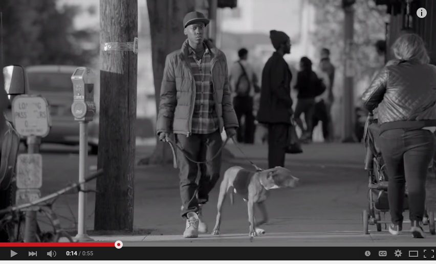 [Y]ral: Heartwarming Ad By Pedigree Tackles Race, Shows What We Can ...