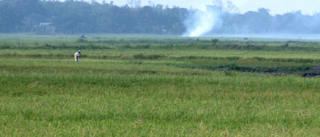 Interview With Documentary Maker, Subasri Krishnan, On Nellie | Youth ...