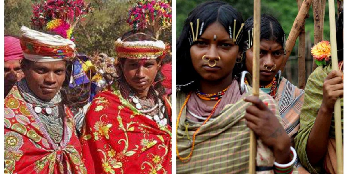 How Indian Tribes Are Fighting Against The Corporates For Their Rights ...