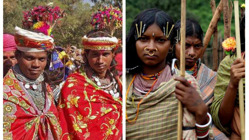 How Indian Tribes Are Fighting Against The Corporates For Their Rights ...