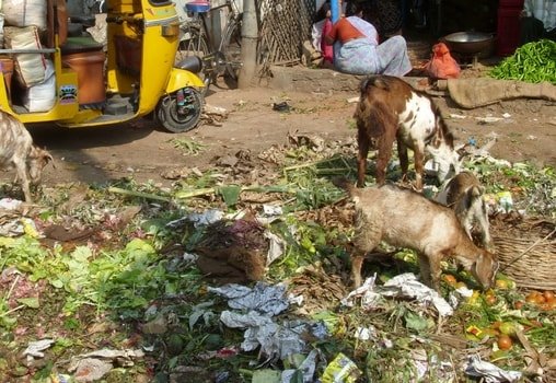 How We Can Stop Almost Half Of India’s Food Going To Waste | Youth Ki Awaaz