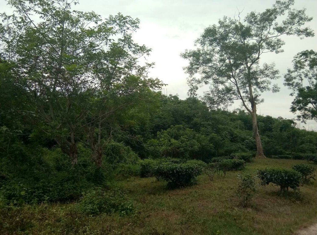 In Photos: The Reality Of 6 Invisible Towns In The ‘Unruly’ Naga Hills ...