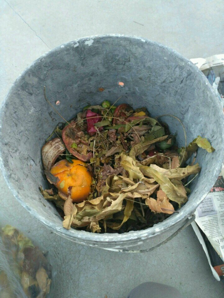 12 Simple Steps To Create Your Own Compost At Home | Youth Ki Awaaz