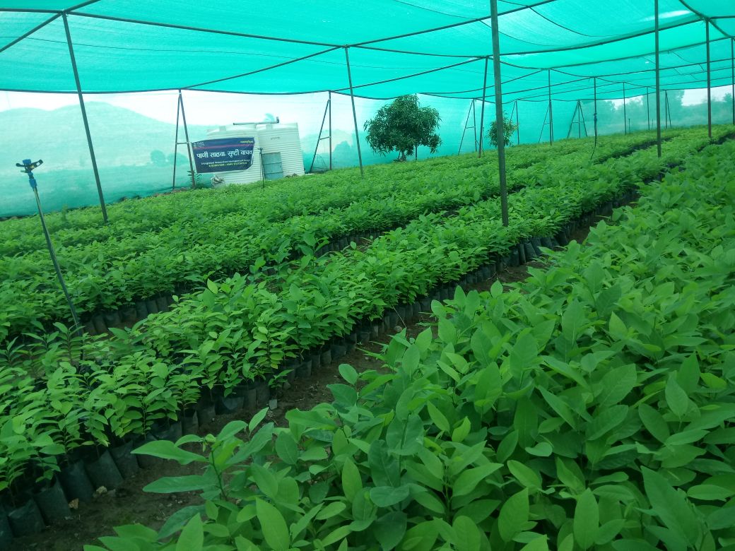 From Driving Taxis In Mumbai To Successful Water Conservation Campaigns ...