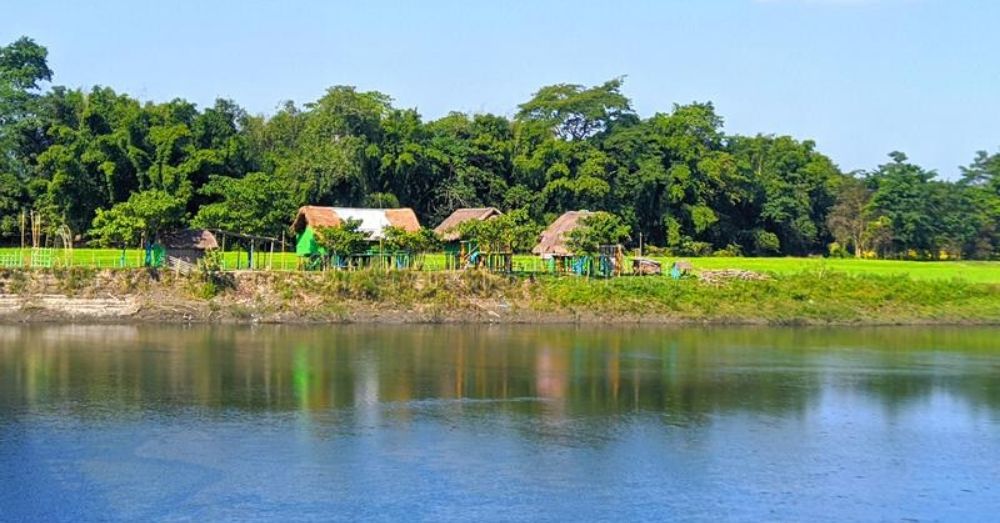 Day for Biological Diversity 2020: Conservation Efforts