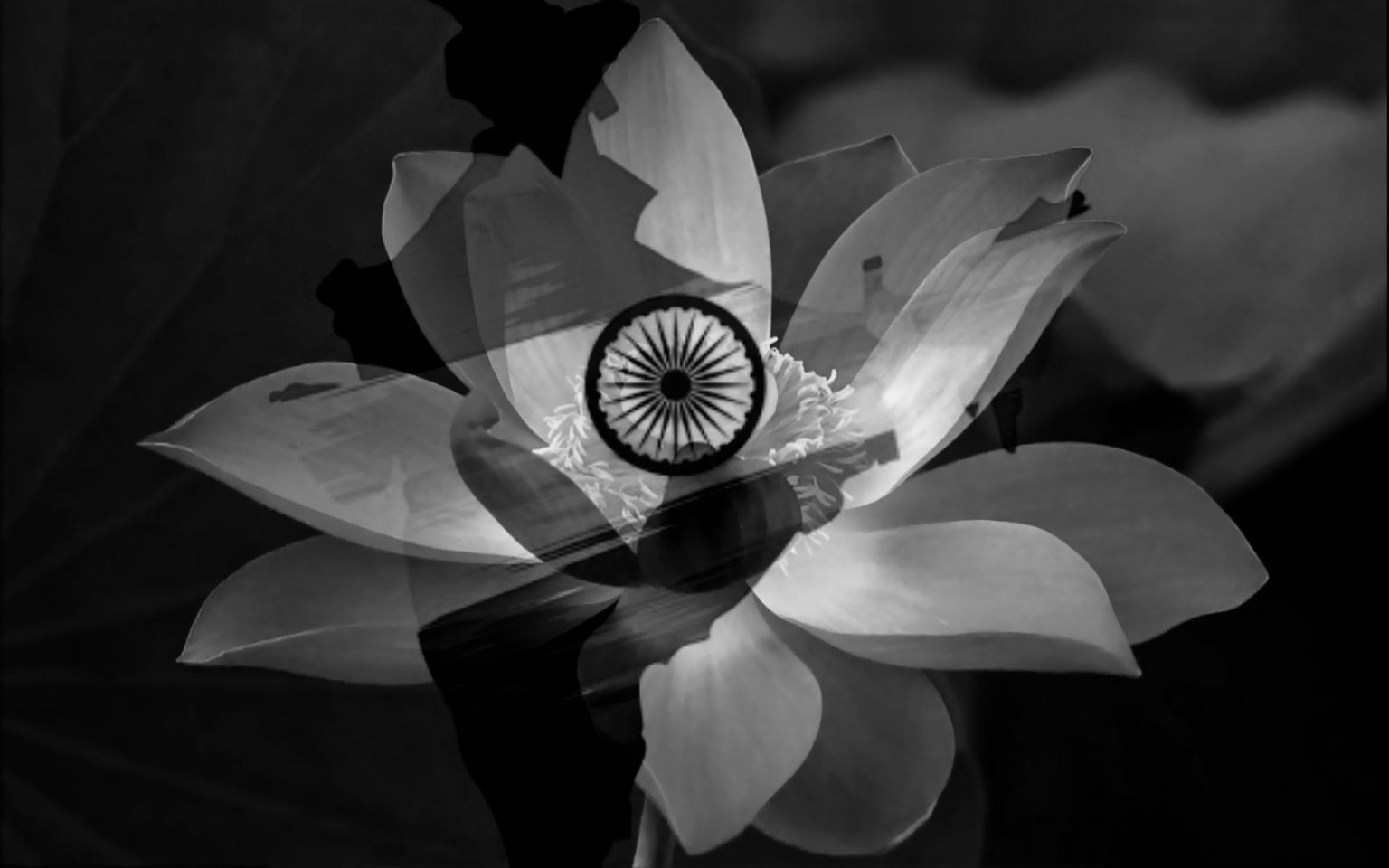 Martyrs Day: Is Gandhi’s Vision Of Ahimsa Relevant Today?