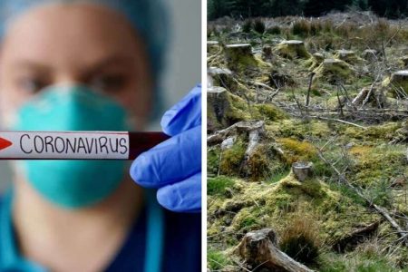 World Environment Day: Moving From The Lockdown To A More Sustainable ...