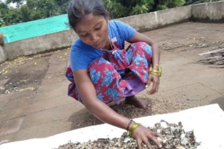 Harvesting Tree Fungi Is A Way of Life For These Paniyar Tribals In ...