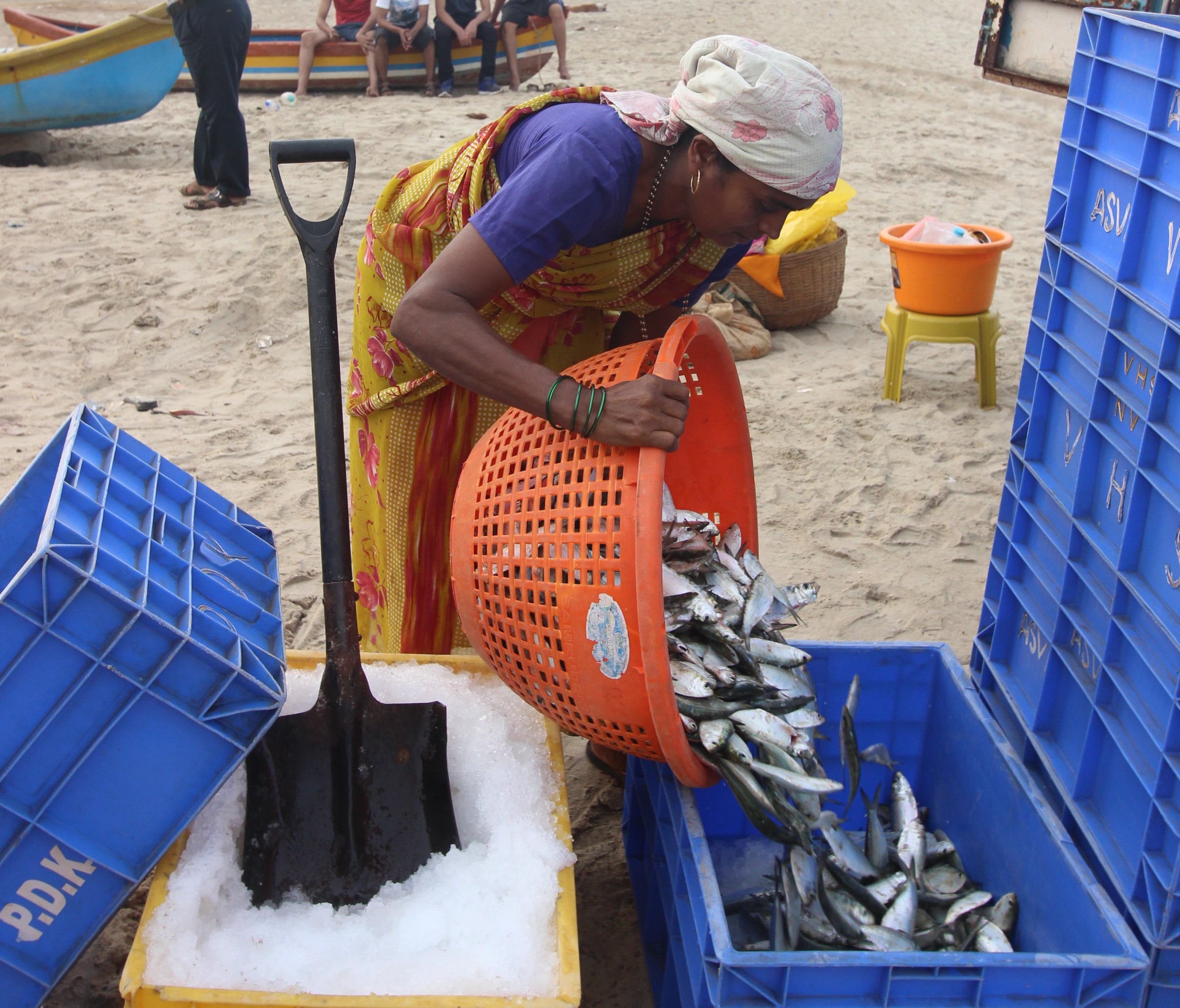 COVID-19, Indian fishermen during lockdown, fish essential