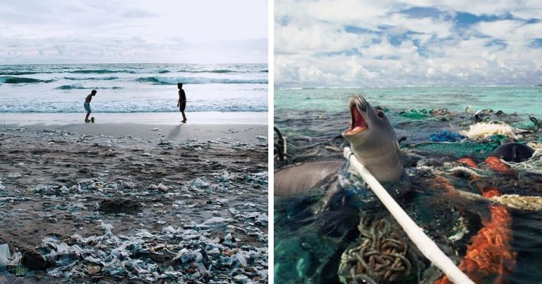 Japan’s Decision To Dump Nuclear Waste Into The Ocean Puts Years Of ...