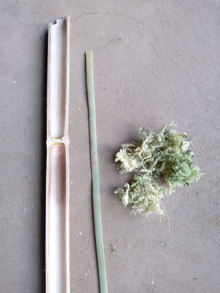 No Sticks And Stones: Tripura’s Tribals Used Bamboo To Make Fire Before ...