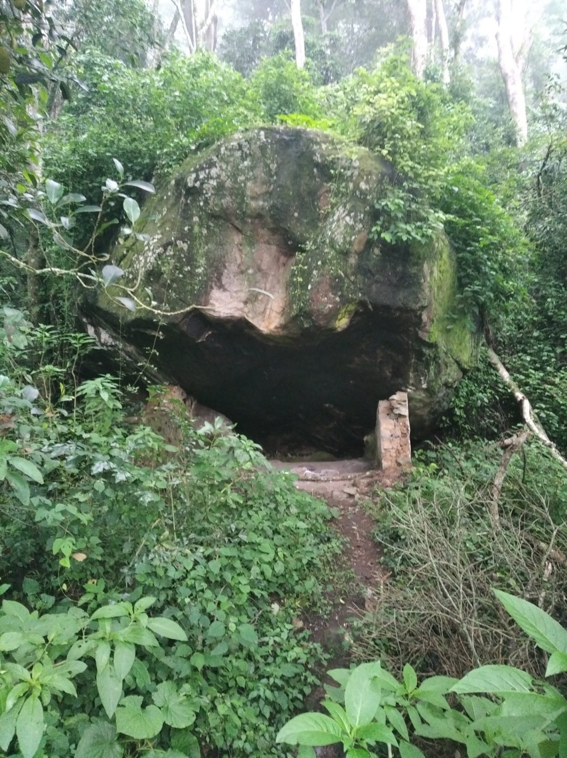 Houses Of Paliyar Tribes In Tamil Nadu