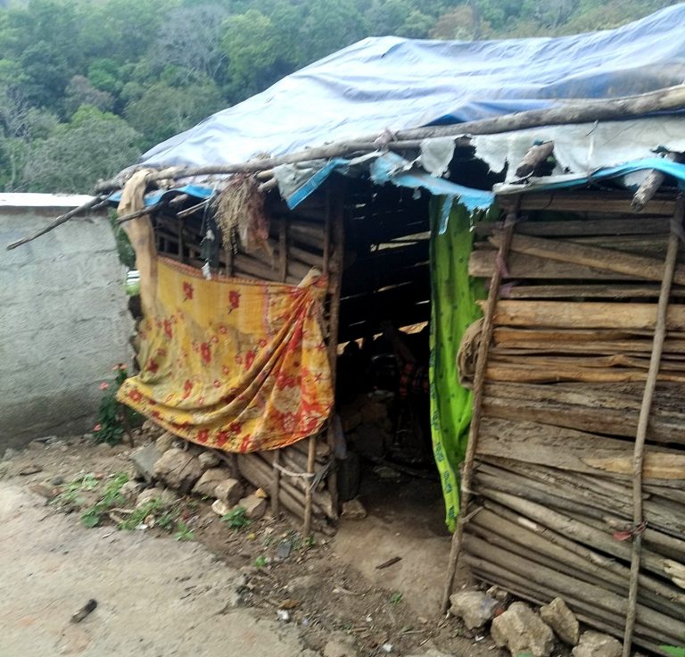 Here Are The Different Types Of Houses That My Paliyar Ancestors Lived In