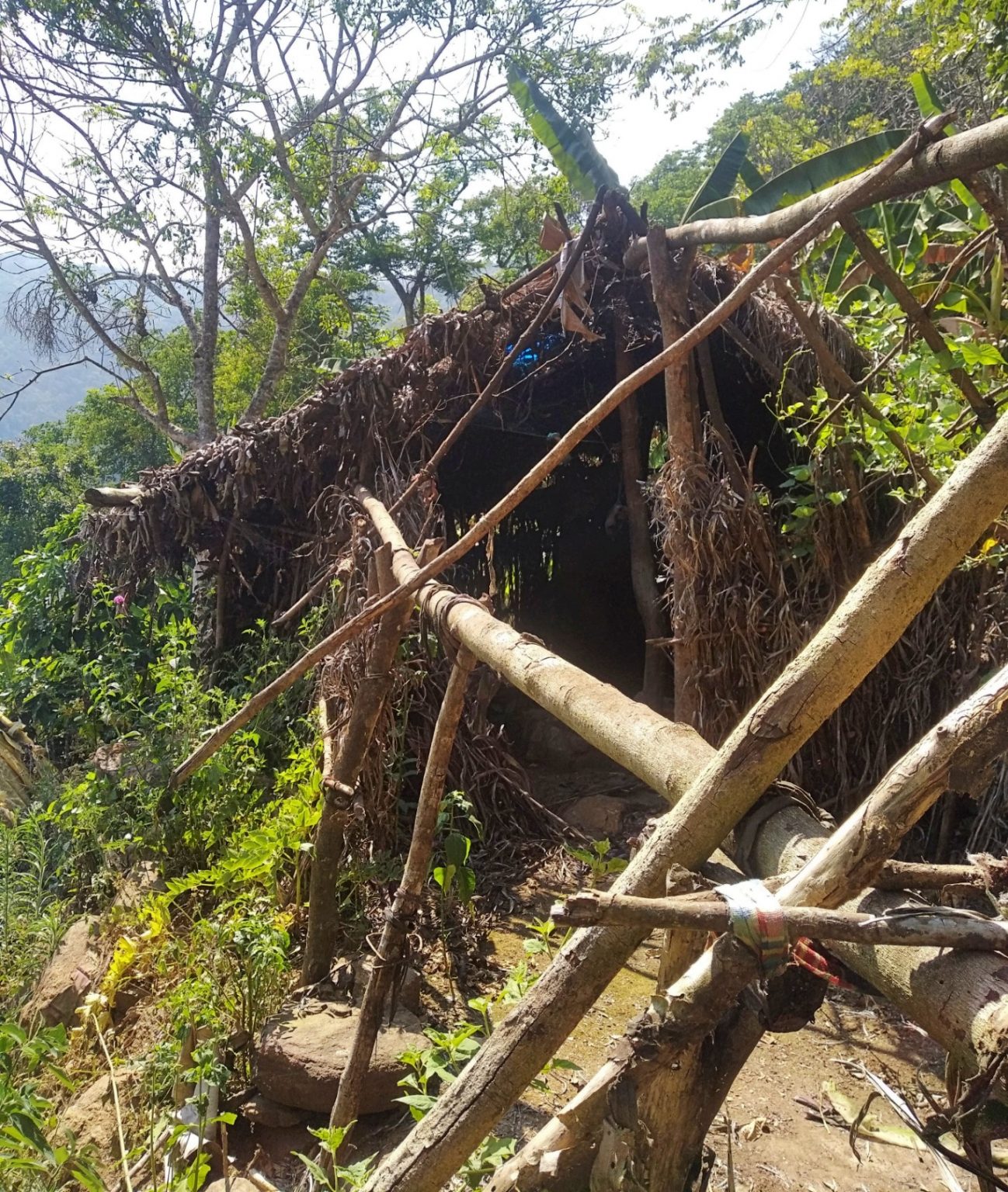 Houses Of Paliyar Tribes In Tamil Nadu