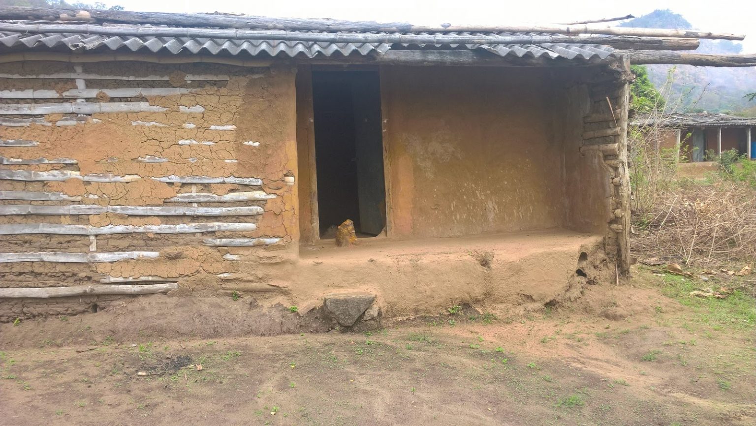 Why Paliyar Tribals Leave Their Homes During Termite Infestation?