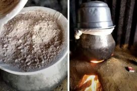 Adivasi Lives Matter Lists Medicinal Herbs Of Paniyars