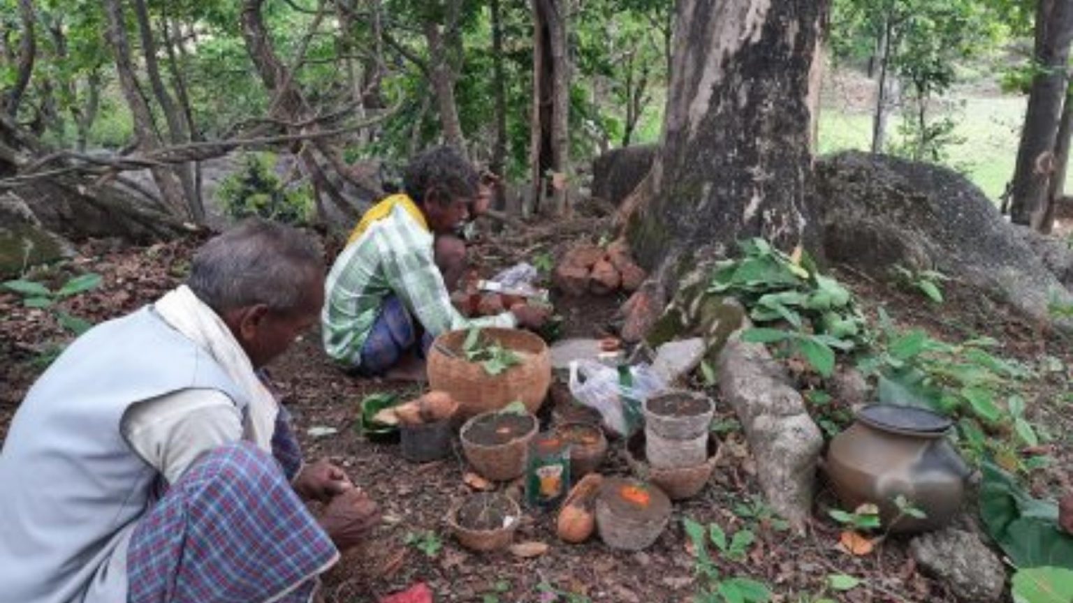 Diamonds Over Life: Why We Are Fighting To Save Buxwaha Forest | Youth ...