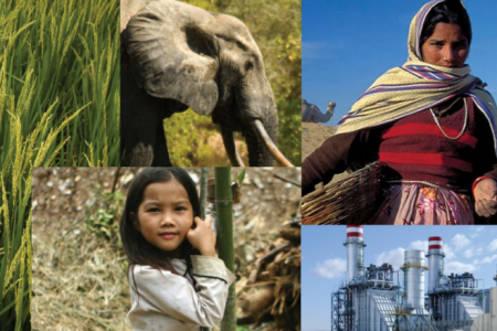Is The World Bank Environmental And Social Framework “Safeguarding ...