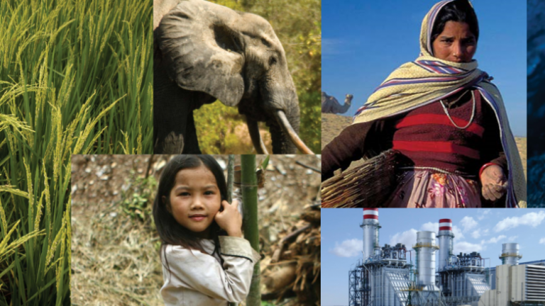 Is The World Bank Environmental And Social Framework “Safeguarding ...