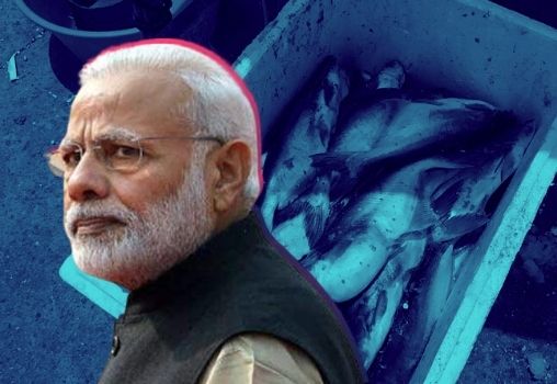 Opinion: Not Atmanirbhar: Modi Devises Misguided Fisheries Scheme ...