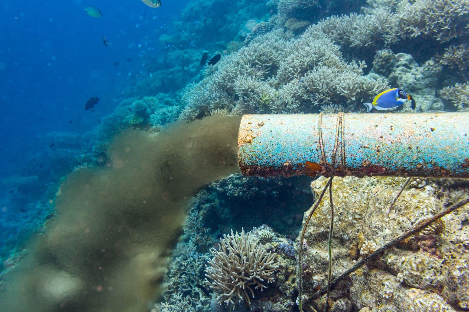 Japan’s Decision To Dump Nuclear Waste Into The Ocean Puts Years Of ...
