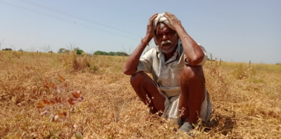 Why Should We Support Or Reject Farm Laws?