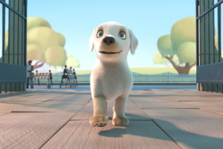 ‘Pip’: A Heartwarming Short Film To Start Your Week Off Right! | Youth ...