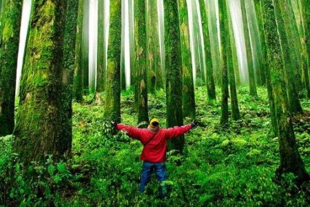 Here Are 6 Valuable Life Lessons Nature Teaches Us | Youth Ki Awaaz