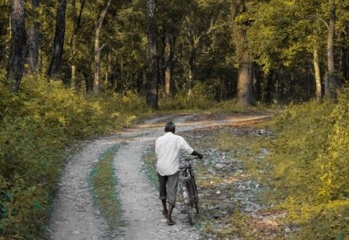 Why Forest Conservation Is Important | Youth Ki Awaaz