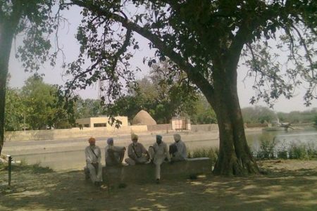 The Importance Of Tree Plantation Ceremonies | Youth Ki Awaaz