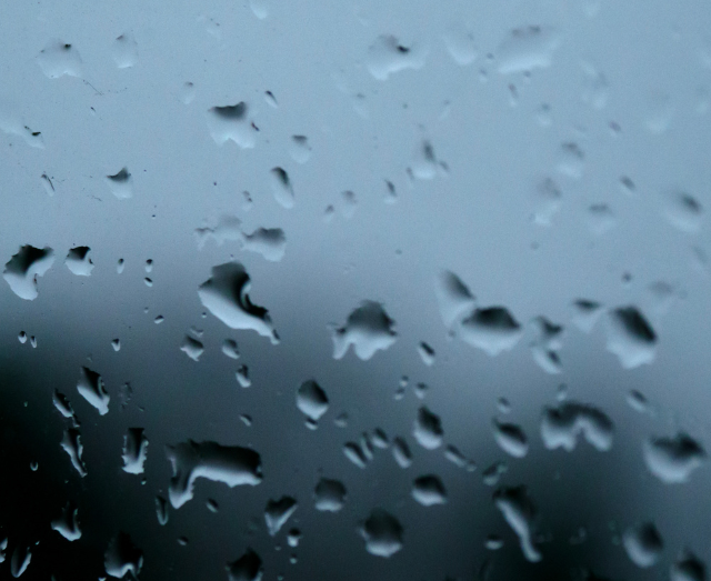 What Is The Meaning Of Pluviophile? 6 Signs You Have Pluviophilia