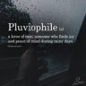 What Is The Meaning Of Pluviophile? 6 Signs You Have Pluviophilia