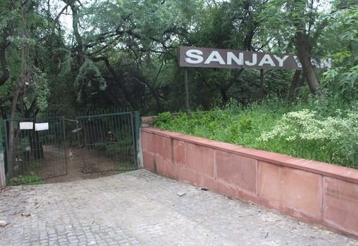 Love, Friendship And History In Delhi: A Morning Walk To Mehrauli ...