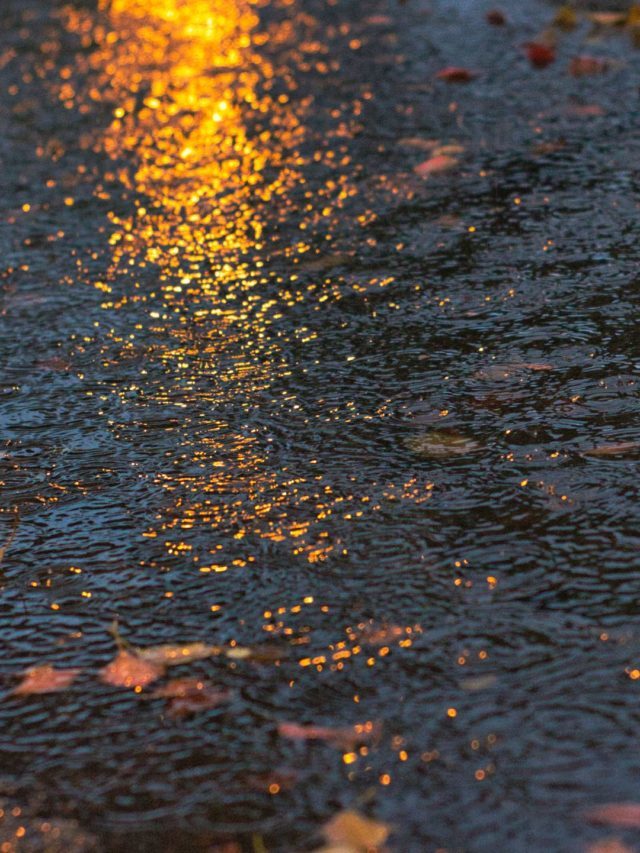 Go Through This List Of Philias To Know What ‘-Phile’ You Are! | Youth ...