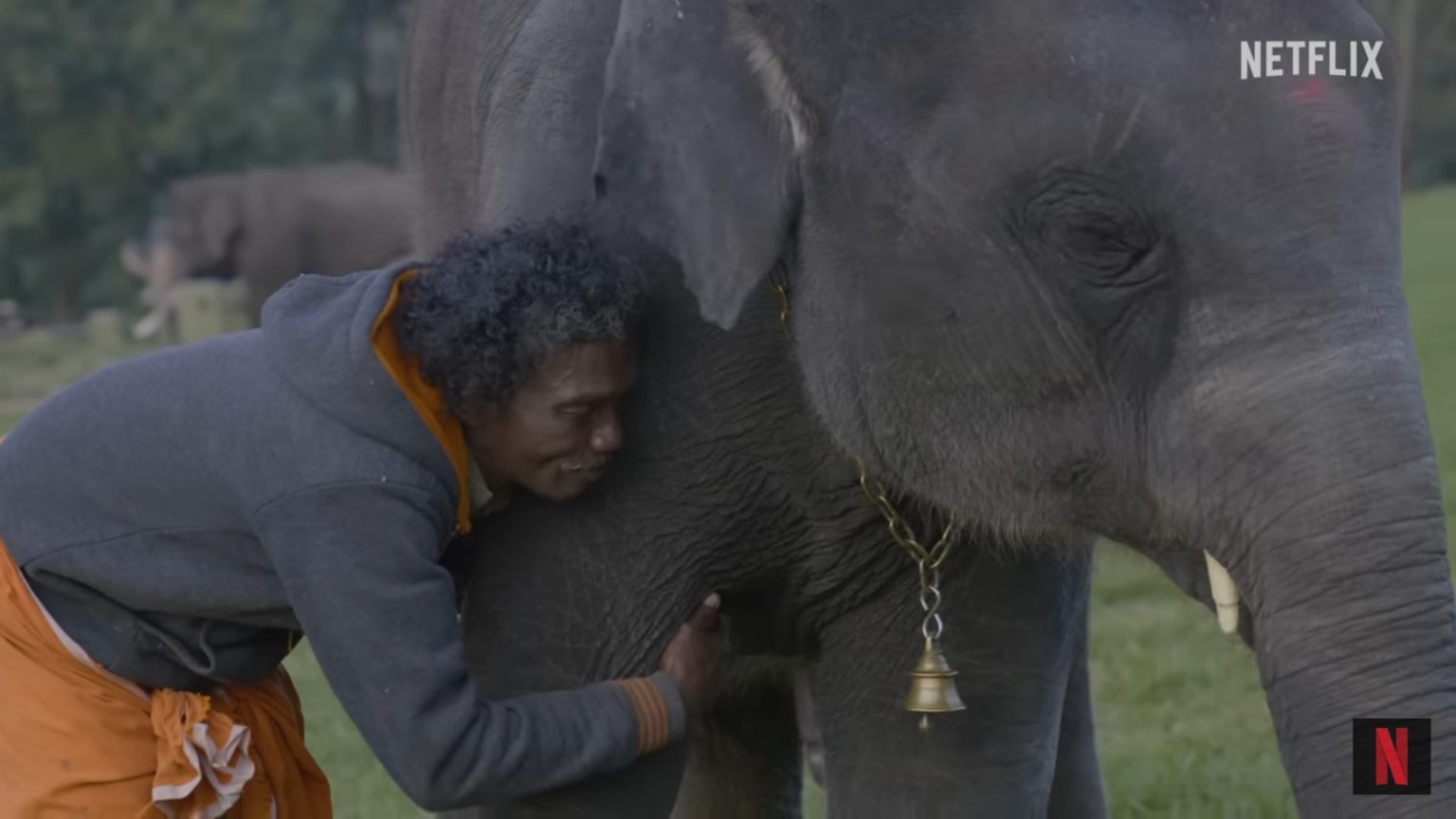 ‘The Elephant Whisperers’ Deserves The Oscar It Is Nominated For