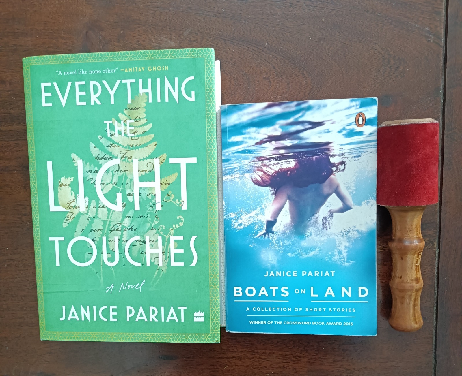Book Review: ‘Everything The Light Touches’ By Janice Pariat
