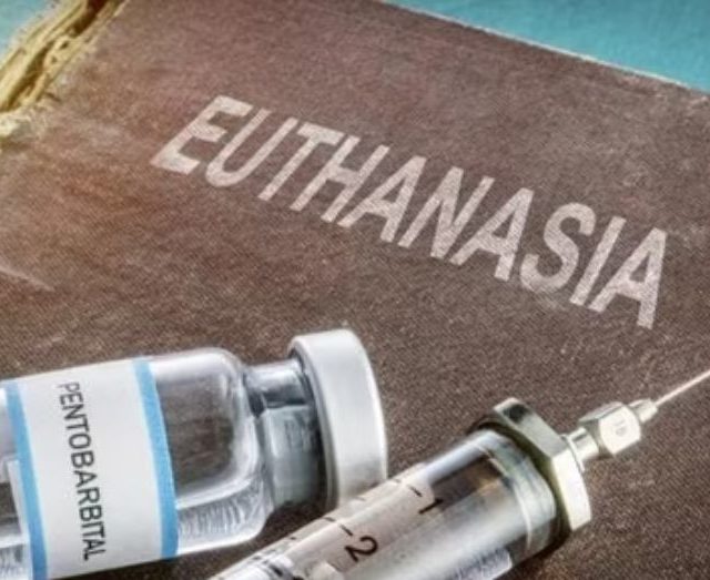 The Quiet Revolution Of Passive Euthanasia | Youth Ki Awaaz